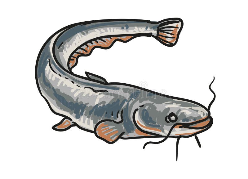 Catfish Clip Art Stock Illustrations – 237 Catfish Clip Art Stock ...