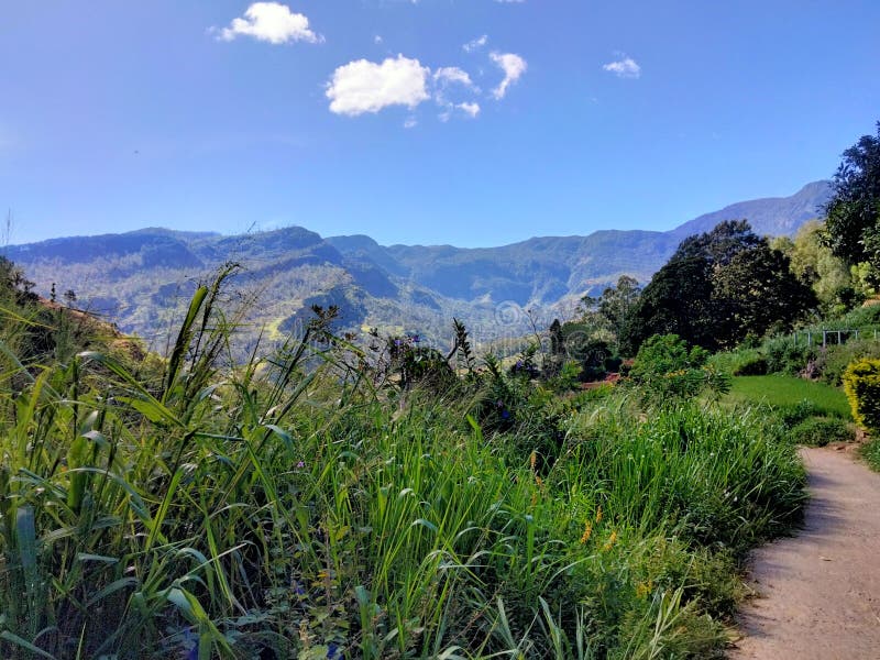 Srilanka Mountain Viwe Kandy Stock Photo - Image of kendy, prairie ...