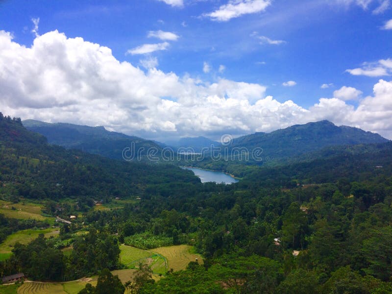 Rambota Stock Photos - Free & Royalty-Free Stock Photos from Dreamstime