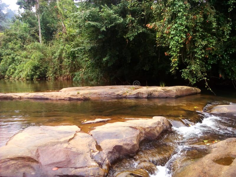 Srilankan rivers stock photo. Image of nature, watercourse - 90641694