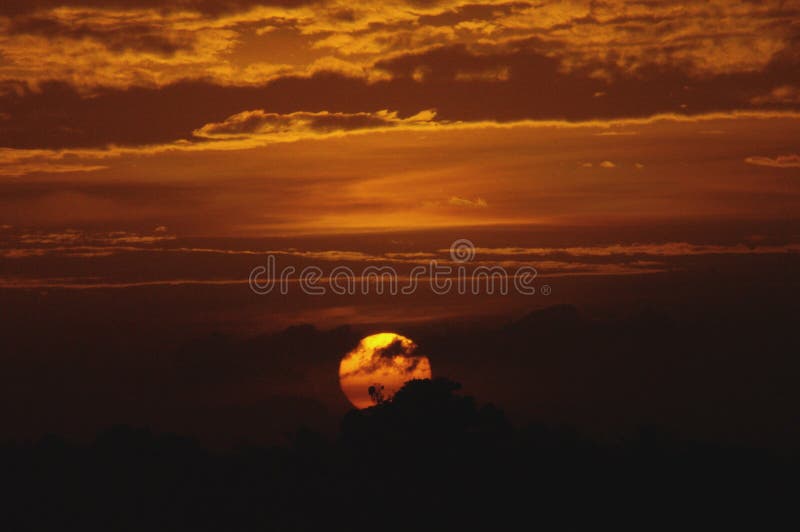 Srilankan Sunrise stock image. Image of africa, morning - 240097041