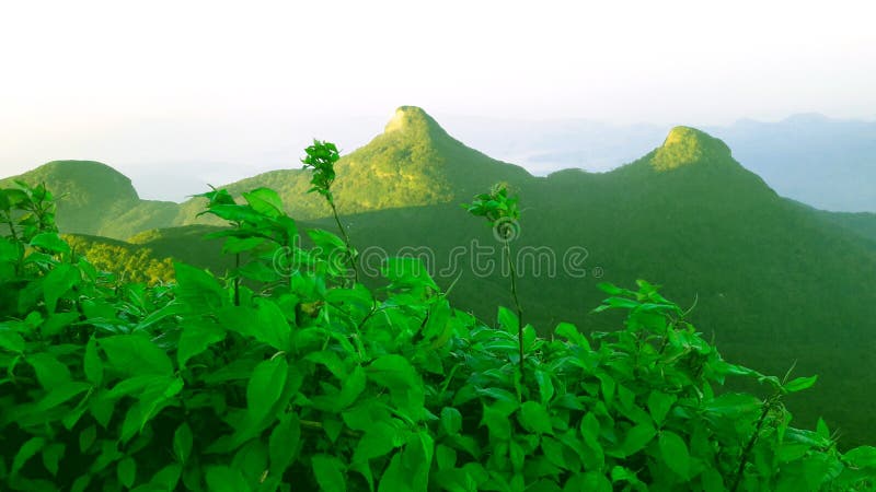 Sripada Stock Photos - Download 92 Royalty Free Photos