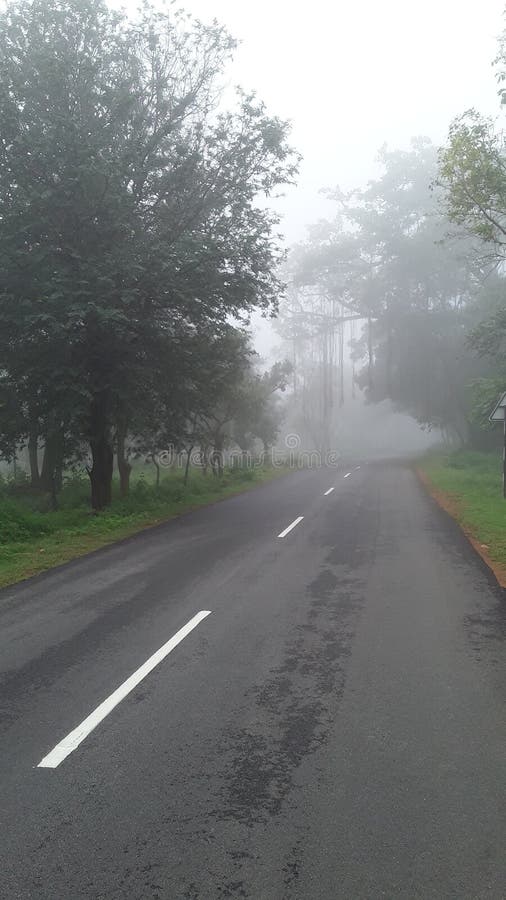 Srisailam Forest View, Andhra Pradesh, India Stock Image - Image of ...