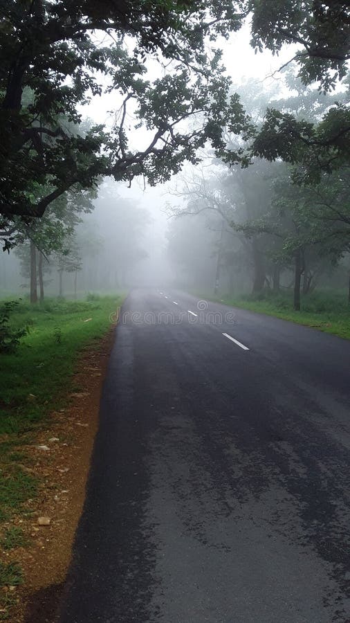 Srisailam Forest View, Andhra Pradesh, India Stock Image - Image of ...