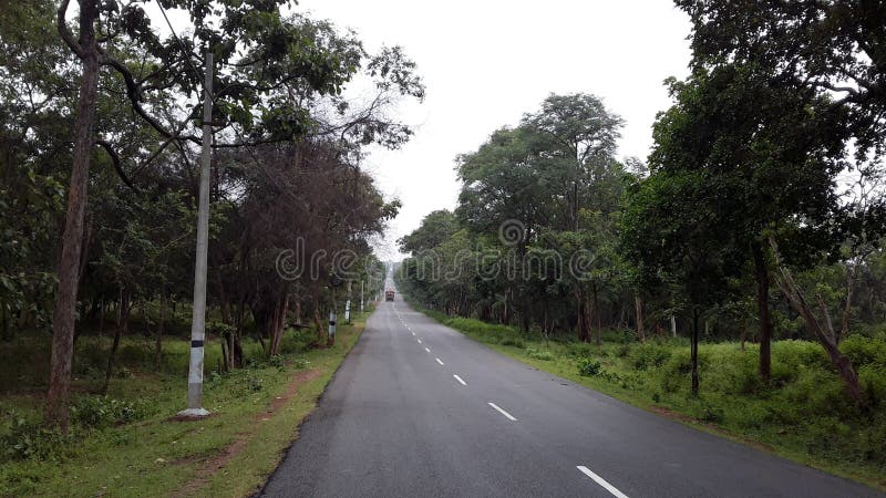 Srisailam Forest View, Andhra Pradesh, India Stock Image - Image of ...