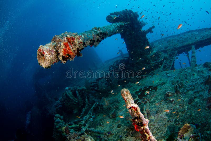 SS Thistlegorm 2015 stock image. Image of diving, coralreef - 63673821