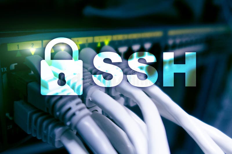 Shell Network Stock Illustrations – 659 Shell Network Stock ...