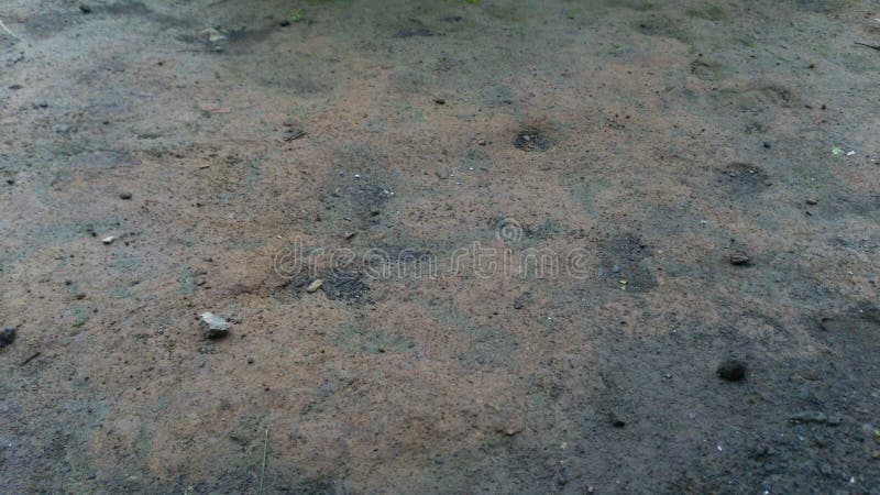 Bsbbs Stock Photos - Free & Royalty-Free Stock Photos from Dreamstime