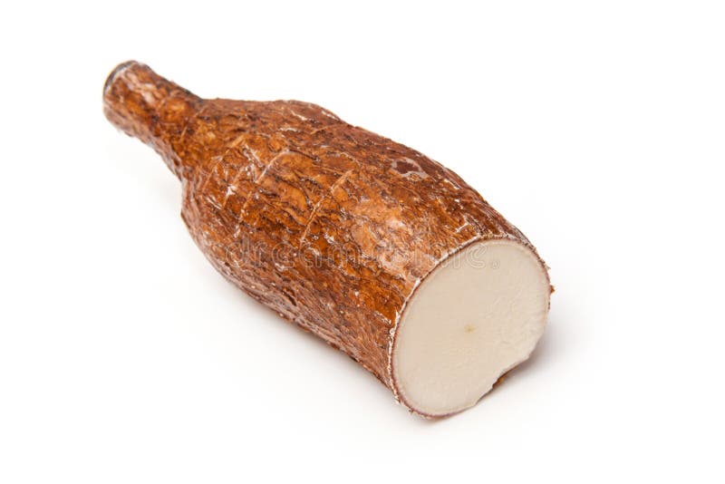 Stück von Yuka-Wurzel stockbild. Bild von tapioka, manioka - 44309711