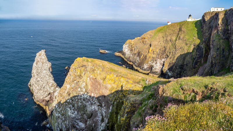 St Abbs Head and St Abb Lighthouse, Scotland Stock Photo - Image of ...