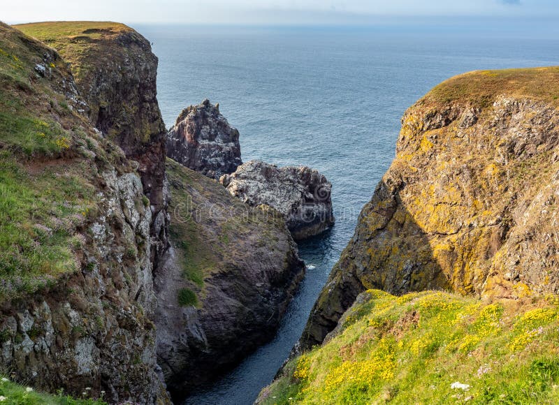 St Abbs Head, Scotland stock image. Image of coast, cliffs - 286063009