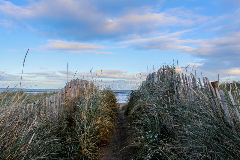 Beautiful Symmetrical Beach Path Stock Photos - Free & Royalty-Free ...