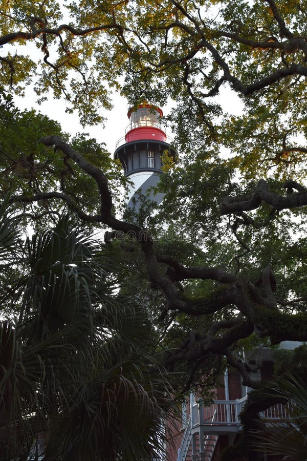 Lighthouse at Sunset Surrounded by Trees Stock Image - Image of trees ...