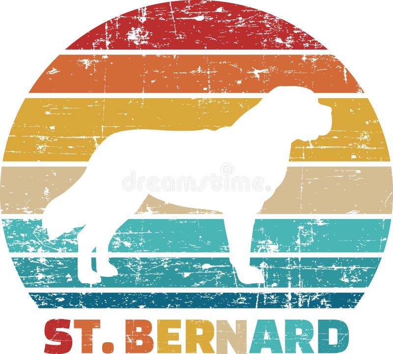 St. Bernard vintage stock vector. Illustration of vintage - 149557977