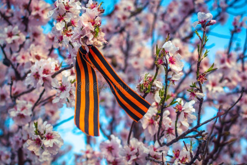 St. George Ribbon stock image. Image of russian, history - 213826265