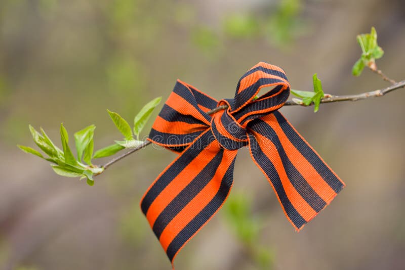 St. George Ribbon In Honor Of Victory Day 1945 Stock Image - Image of ...