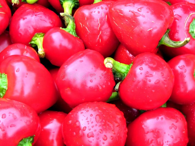 St Jacobs Village the Red Peper 2013 Stock Image - Image of stem, ripe ...