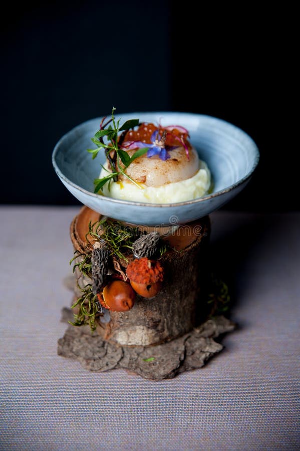 St jacques shell stock image. Image of dinner, fresh - 107769937