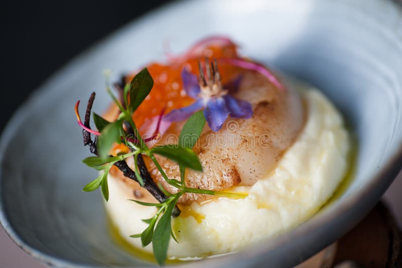 St jacques shell stock image. Image of cuisine, food - 107770081