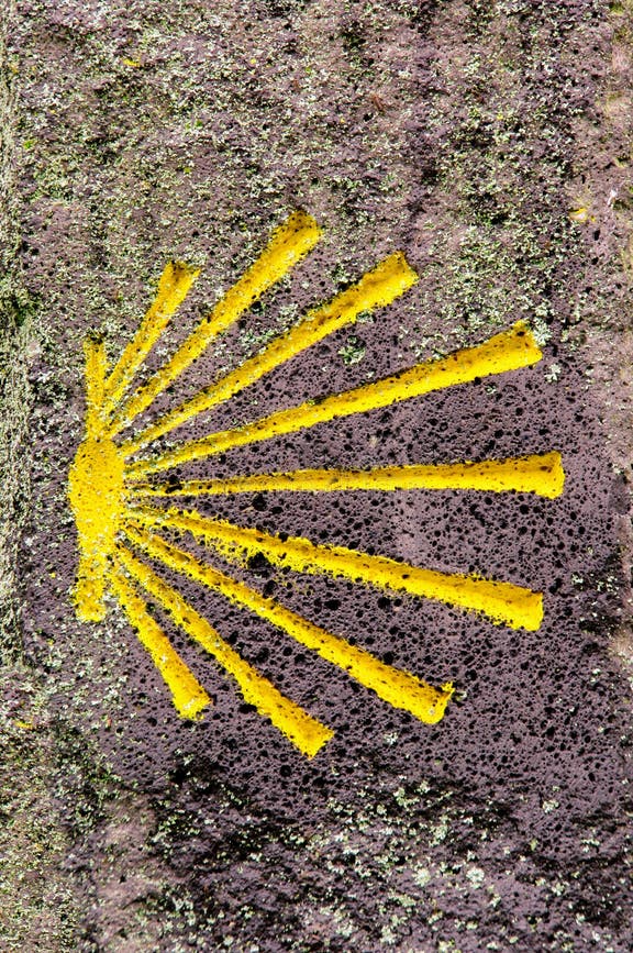 St James shell stock photo. Image of jakob, marking, direction - 16438200