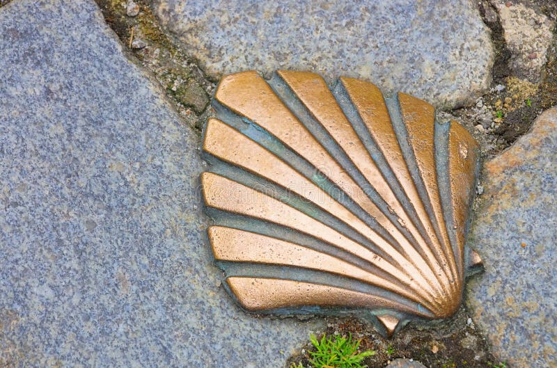St James shell stock photo. Image of jakob, marking, compostelle - 26057304