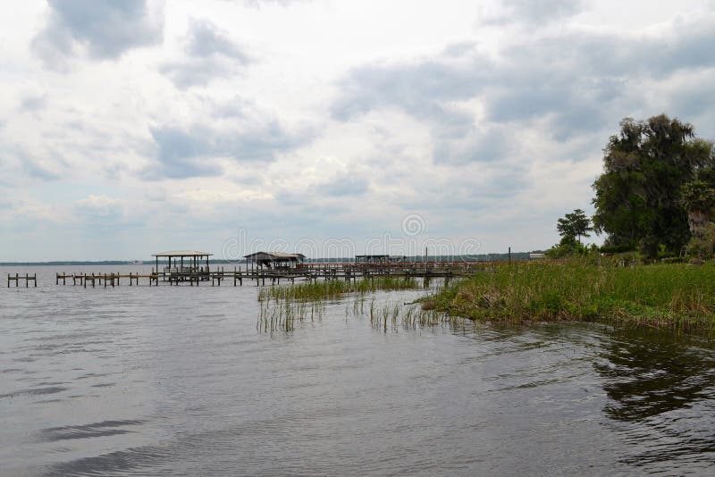 St Johns River Shore-side in Palatka Florida Stock Image - Image of ...
