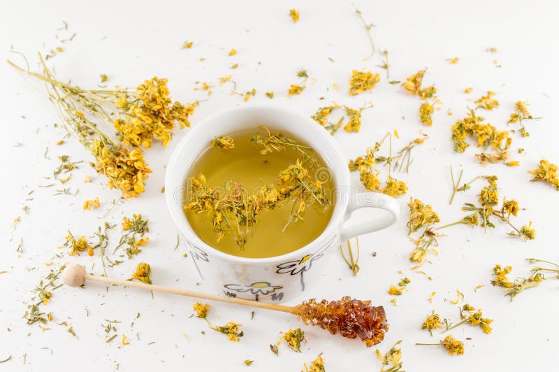 St Johns Wort Tea and Surrounded by Dried Plants Stock Image - Image of ...