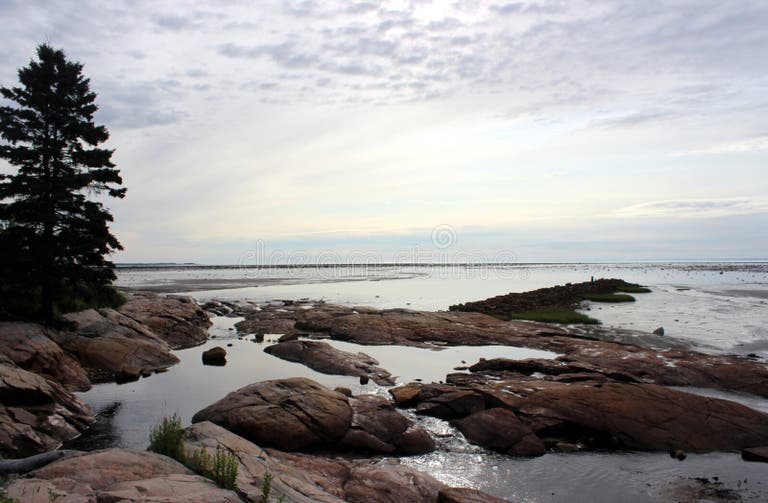 St Lawrence River Shore stock image. Image of lawrence - 286134881