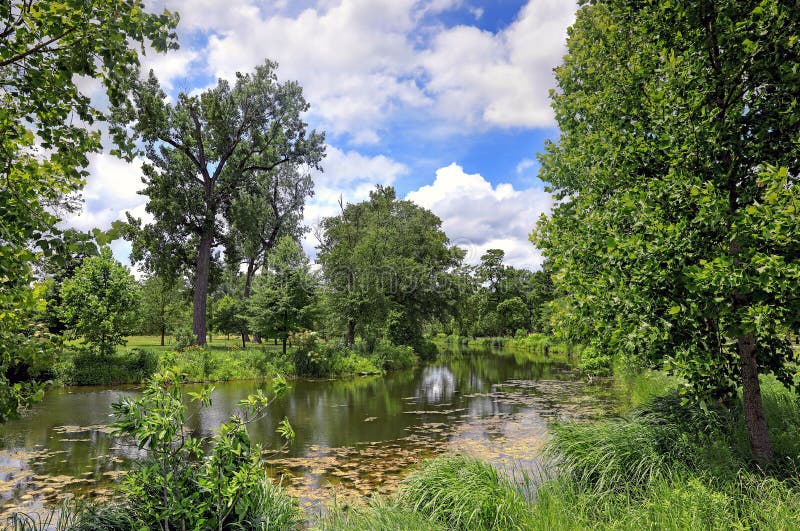 St. Louis Forest Park stock image. Image of grass, forest - 96039289