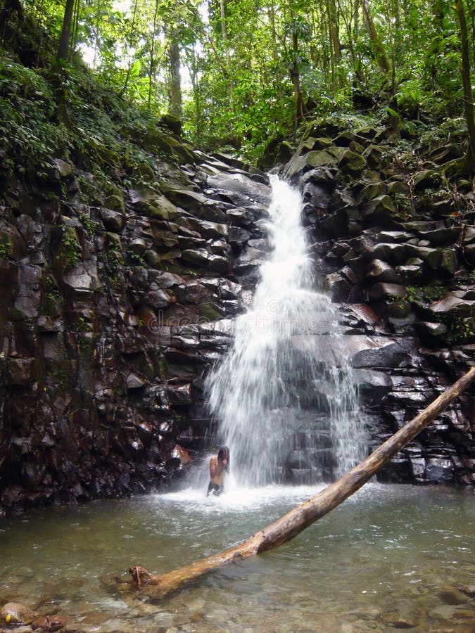 St. Lucia Waterfall stock photo. Image of waterfall, leaf - 9831720