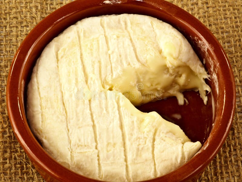 St Marcellin a French Cheese Stock Photo - Image of food, dauphinois ...