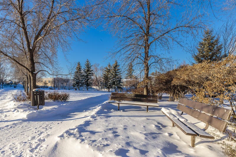 St. Patrick Park in Saskatoon, Canada Stock Image - Image of patrick ...