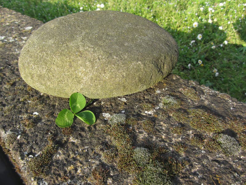 St. Patrick`s Day Background with Clover or Shamrock by a River Stone ...