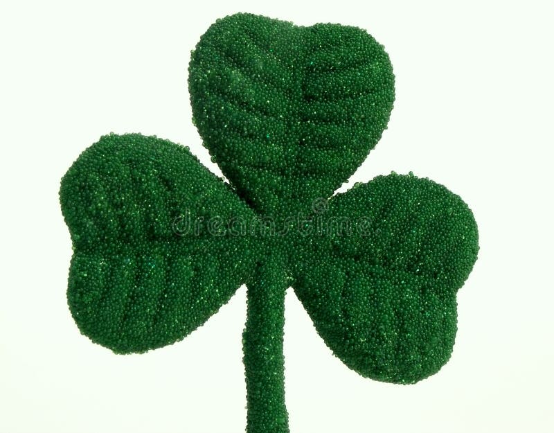 St. Patricks Day shamrock stock photo. Image of traditional - 475964