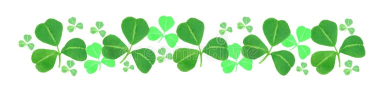 50,875 Shamrock Pfp Stock Photos - Free & Royalty-Free Stock Photos ...
