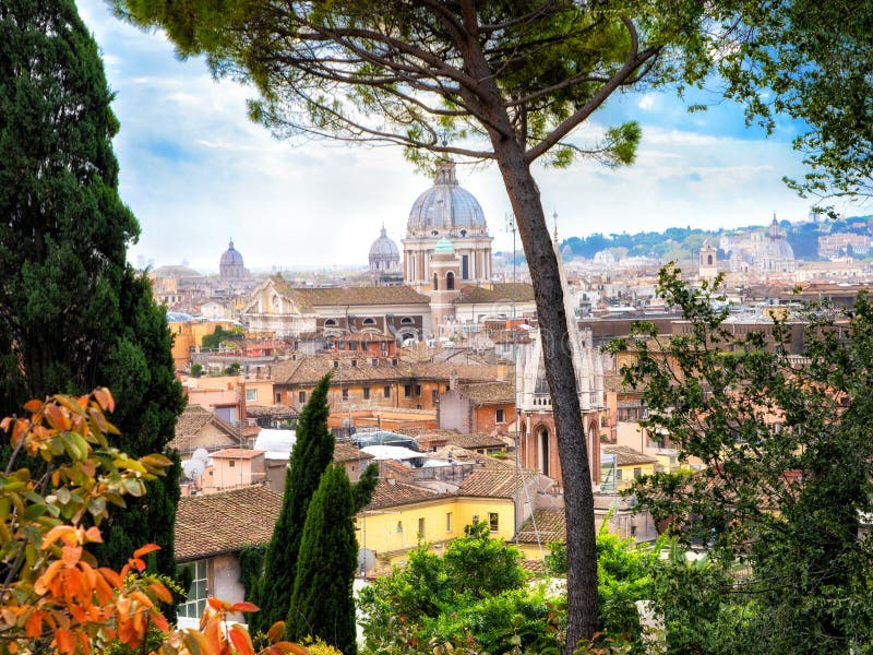 St. Peter Cathedral in Rome Framed by Trees and Plants Stock Photo ...