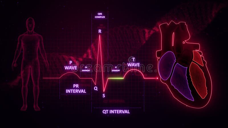 ST Segment from Electrocardiogram Wave or ECG or EKG Stock Illustration ...