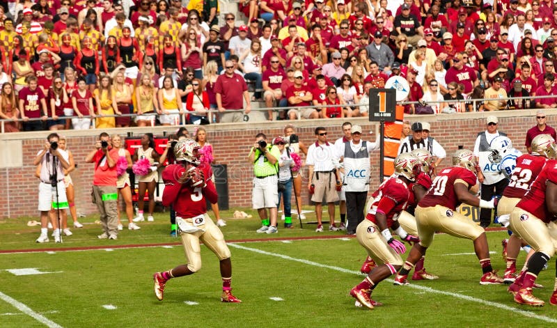 Staat Florida-Maskottchen-Leiter Osceola Redaktionelles Stockbild ...