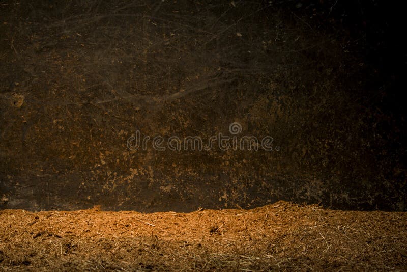 Stabiel stock foto. Image of land, paard, verlaten, hooi - 34607454