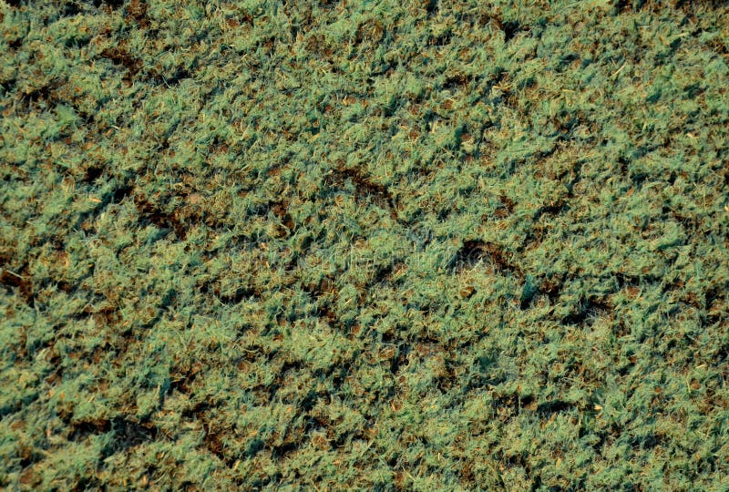 Stabilization of Slopes by Hydro Sowing. a Mixture of Wood Pulp and ...