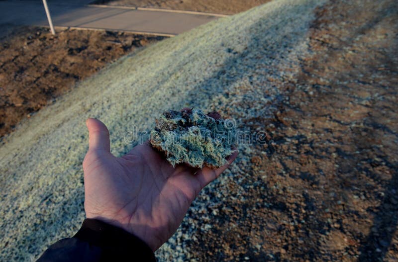 Stabilization of Slopes by Hydro Sowing. a Mixture of Wood Pulp and ...