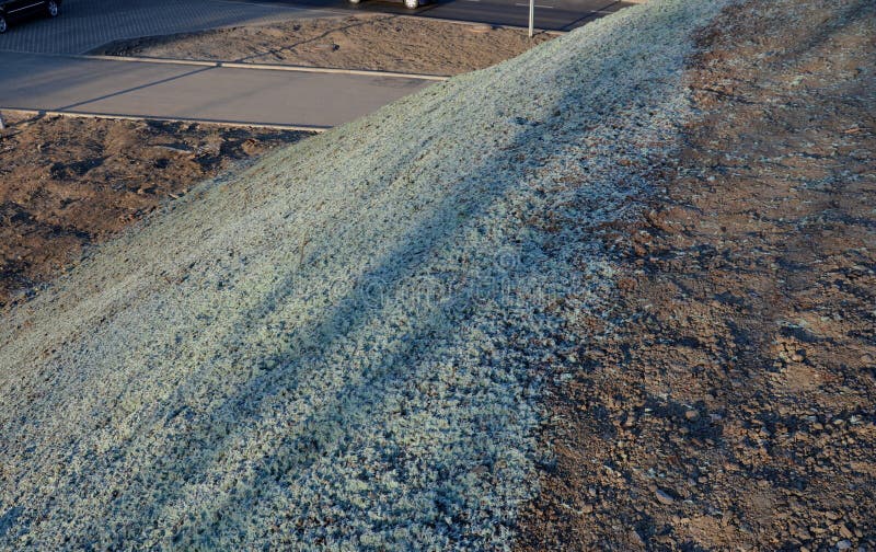 Stabilization of Slopes by Hydro Sowing. a Mixture of Wood Pulp and ...