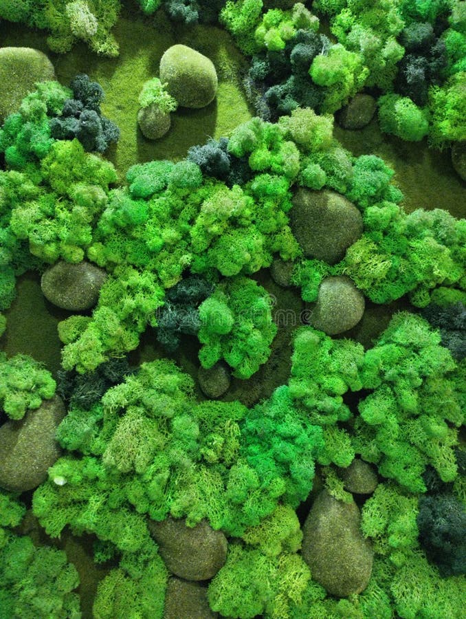 Decorative Artificial Moss Wall, Indoor Landscaping,plant Green ...