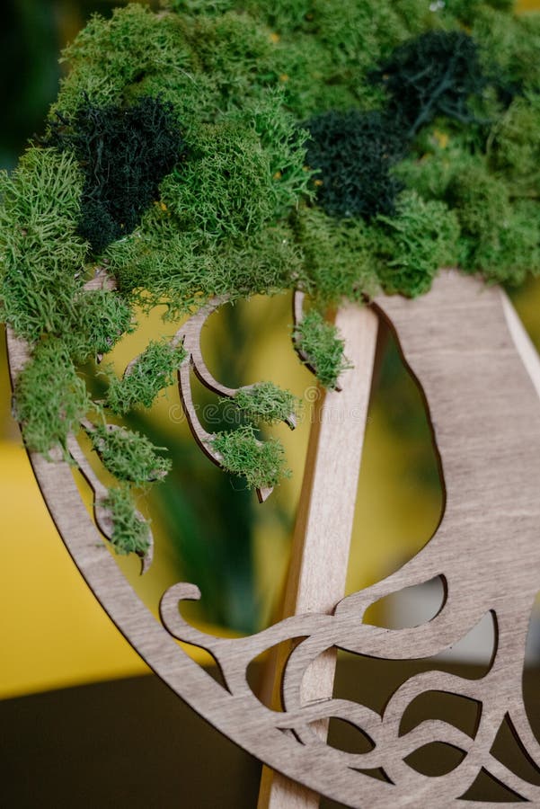 Stabilized Moss.Stabilized Moss in the Pot Stock Image - Image of ...