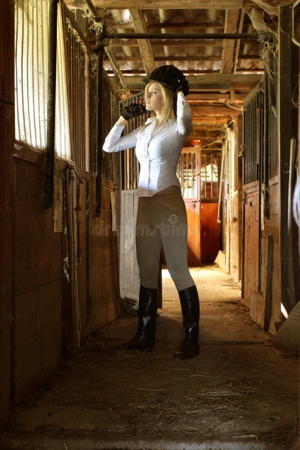 Stable stock image. Image of building, barn, timber, animal - 25928031