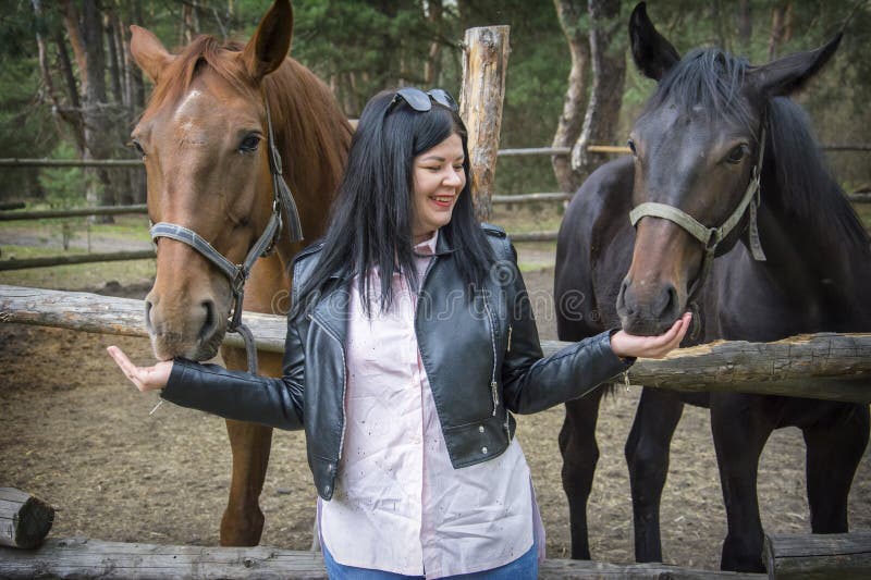 At the Stable, a Girl Feeds Sugar To Two Horses Stock Photo - Image of ...