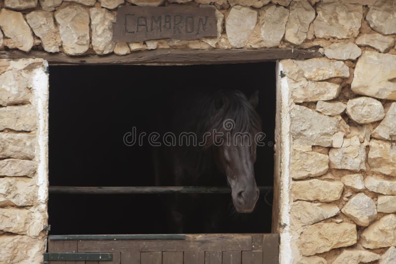 Stable stock image. Image of horse, black, travel, wood - 36312319