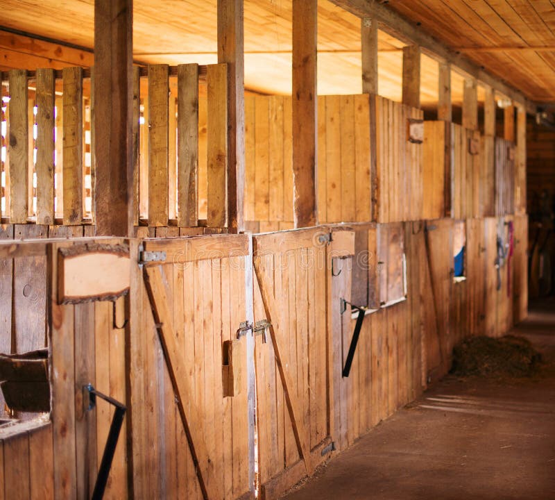 Riding School: Horse Looking Out Of Stable Stock Photo - Image of ...