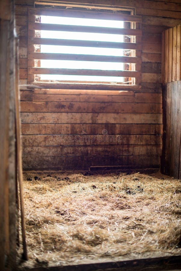 Stable. stock image. Image of interior, horse, farming - 55452359