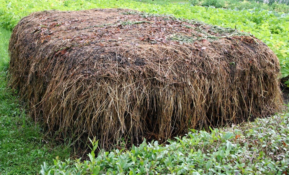 Stable manure composting stock image. Image of fertilizing - 14830791